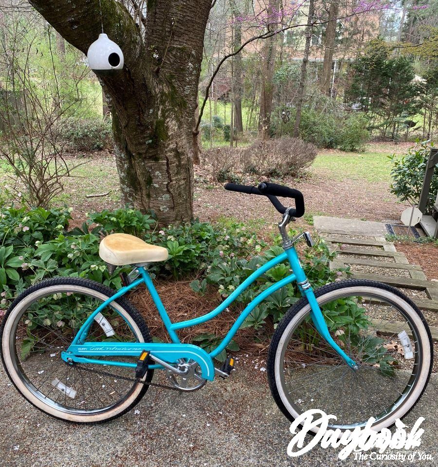 Huffy story - Daybook Blog