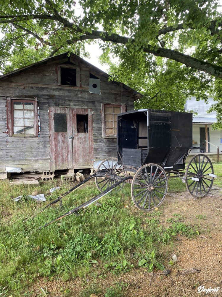 Top 5 Farms To Visit: An Amish Community in Tennessee - Daybook Blog